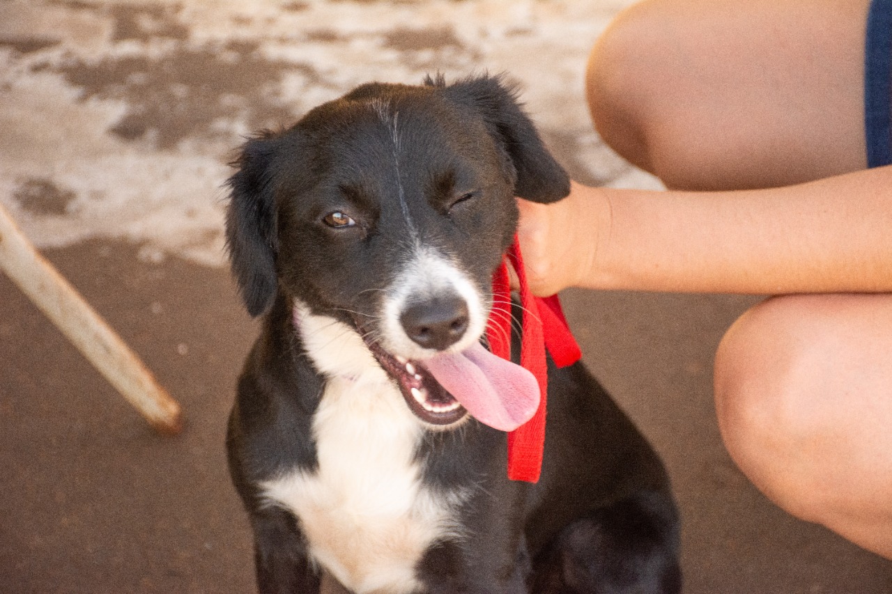 El IMuSA en tu barrio, conocé el cronograma de los operativos - Radio ...