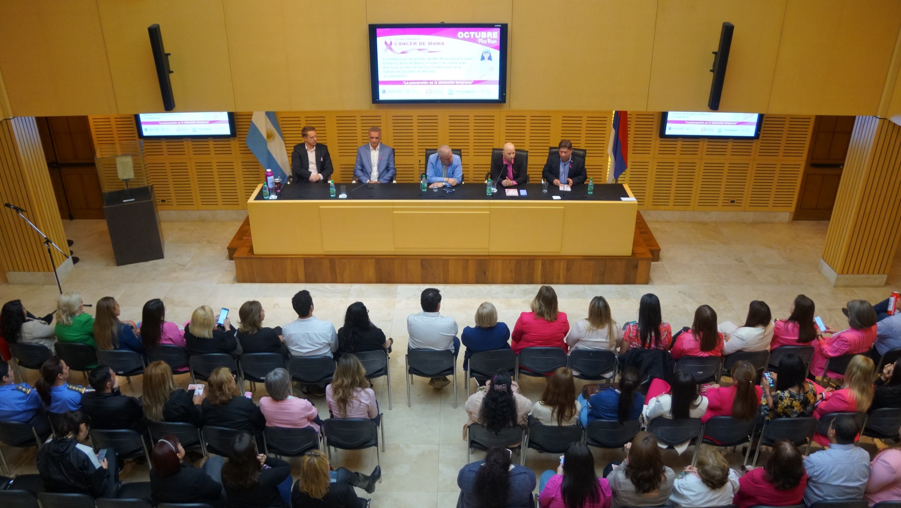 Legislatura: Comenzó el “mes rosa” para prevenir el cáncer de mama ...